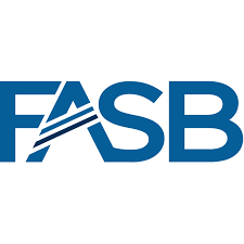 TriMerge Consulting Group, P.A. - Accountants and Consultants